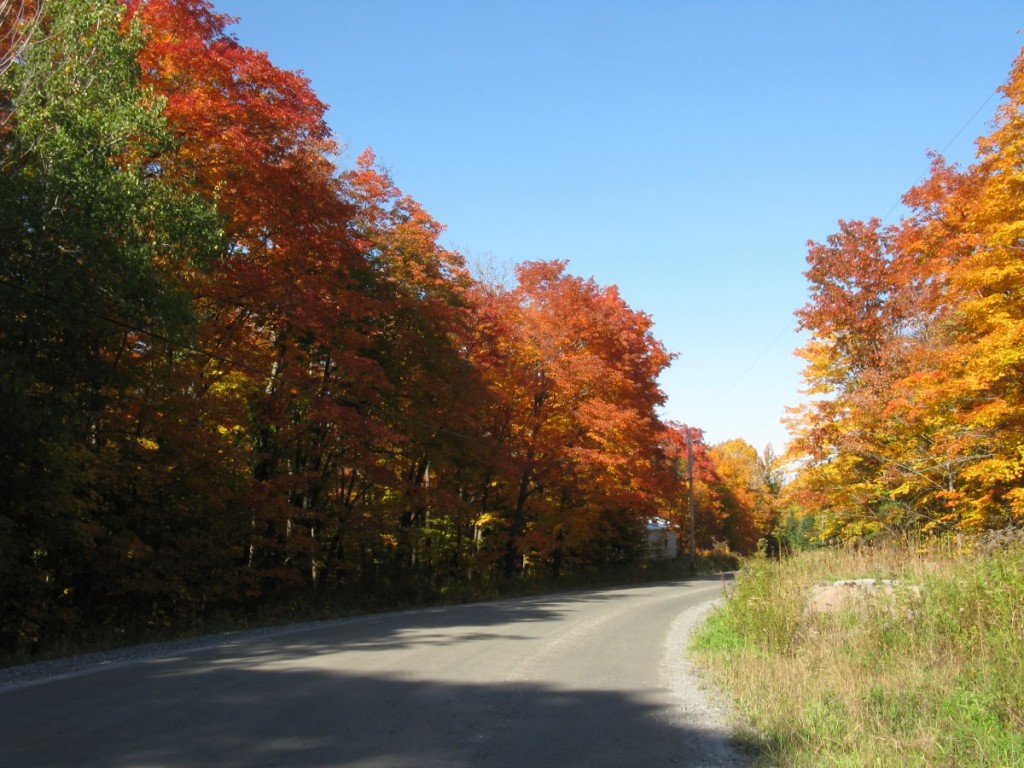 Pictures In & Around Port Loring Ontario | THE WALTERS POST