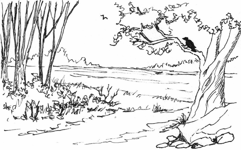 A Day Of Learning | THE WALTERS POST