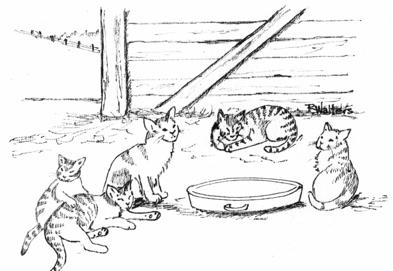 Early Risers | THE WALTERS POST